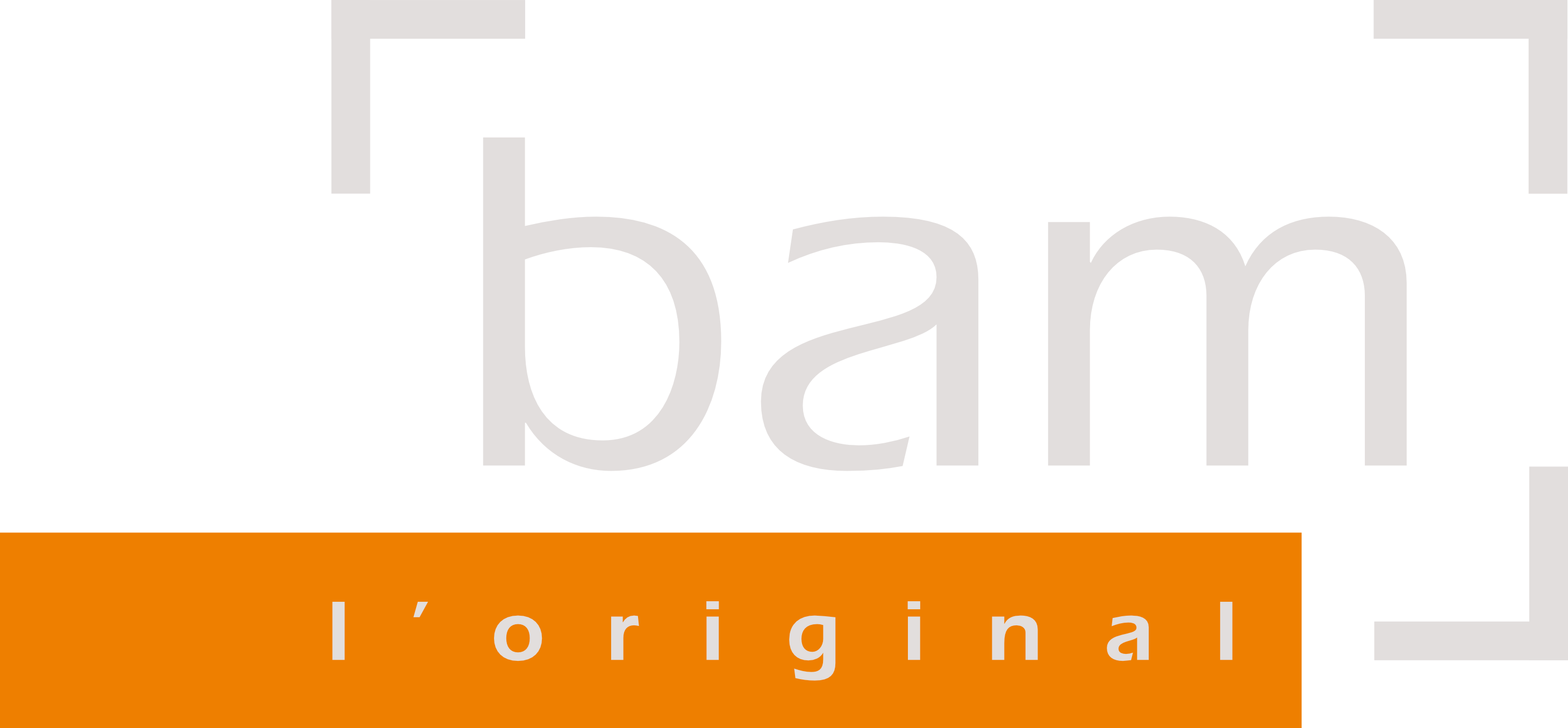 BAM.logo • BAM Norden
